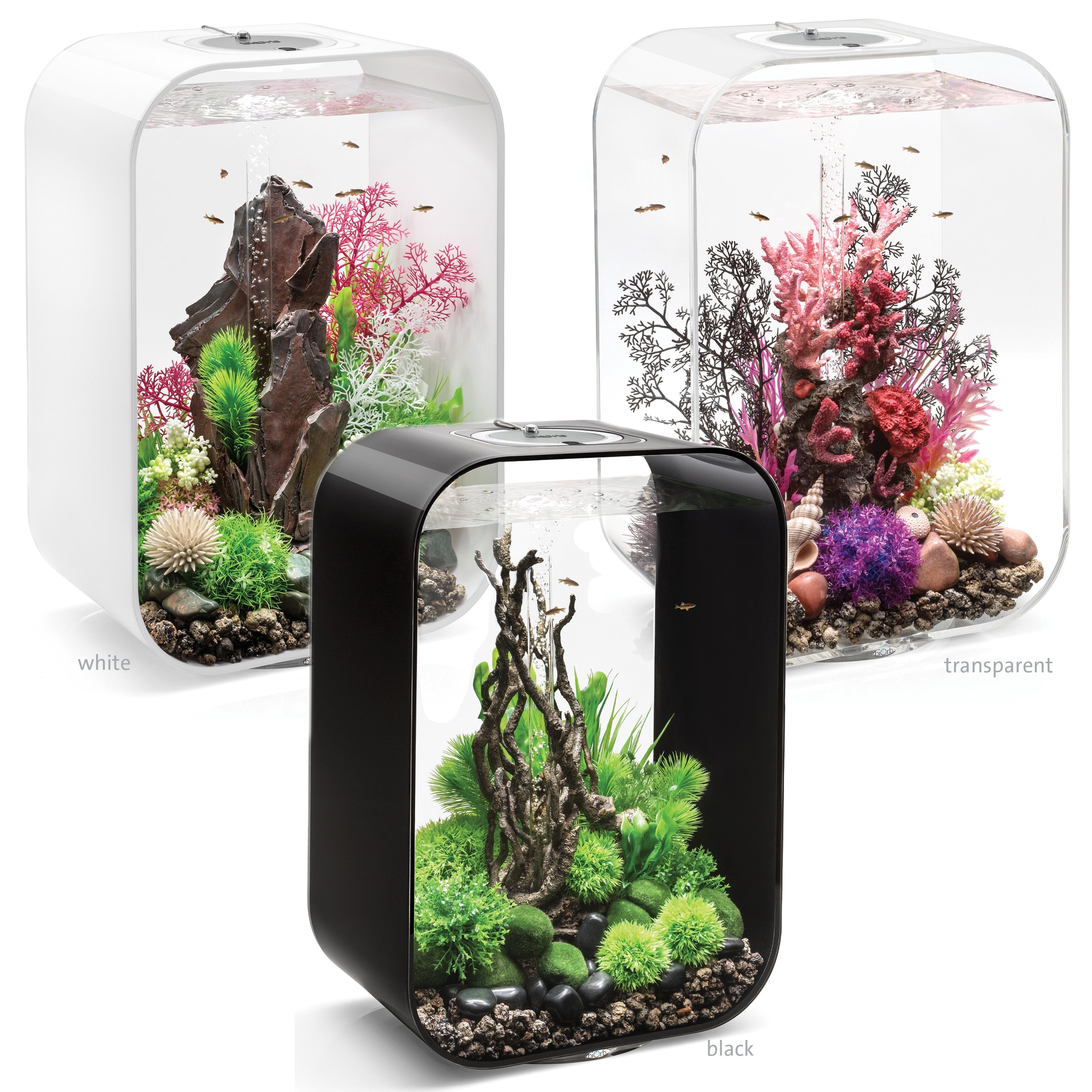 Biorb Aquarium Gallon Online Sale | www.oceanproperty.co.th